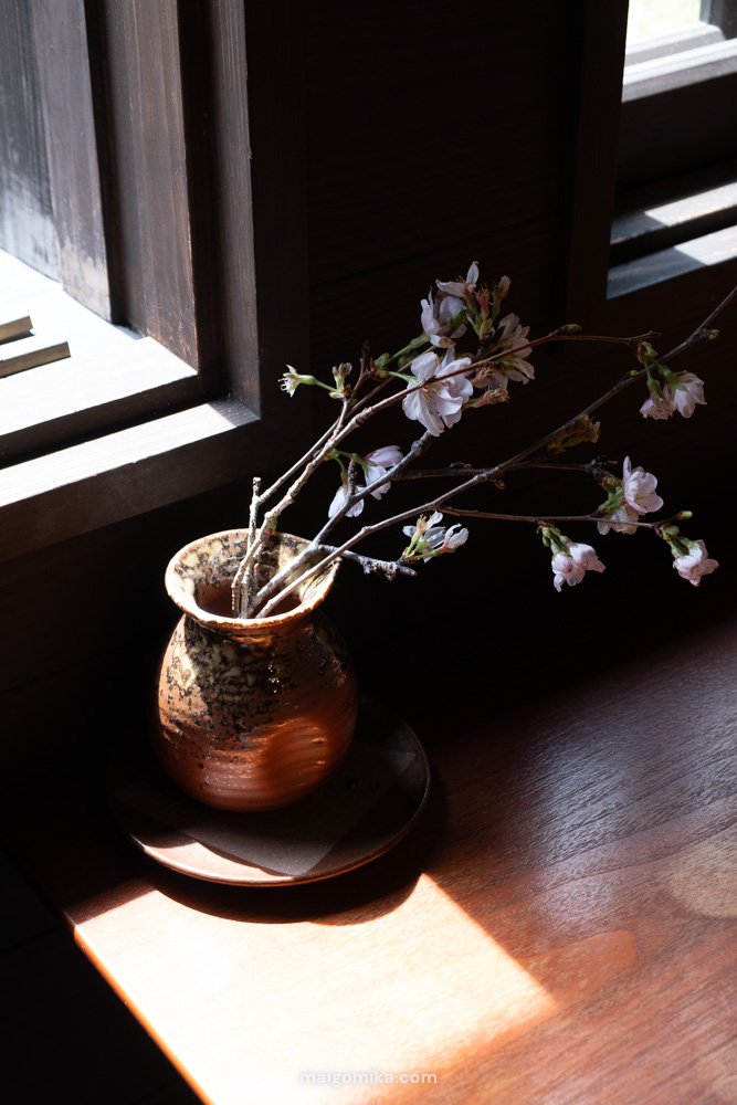 Sakawa Town: Sake Breweries & Best Sakura Blossoms Viewing