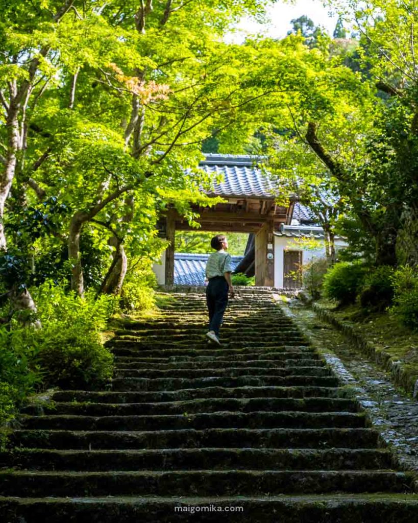 Sakawa Town: Sake Breweries & Best Sakura Blossoms Viewing