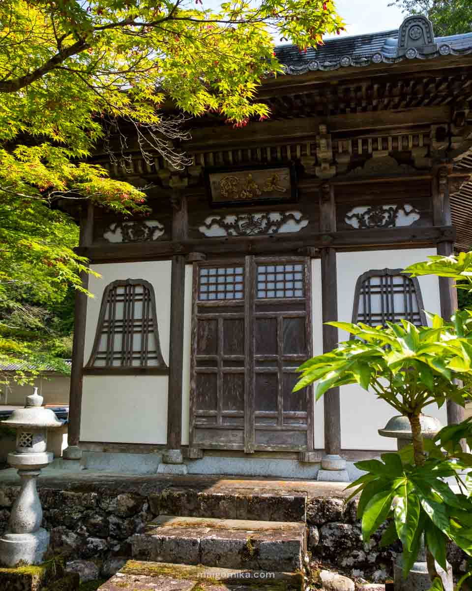 Sakawa Town: Sake Breweries & Best Sakura Blossoms Viewing