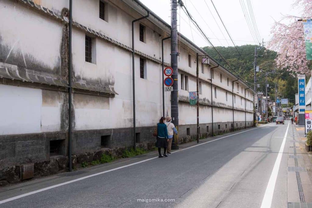 Sakawa Town: Sake Breweries & Best Sakura Blossoms Viewing