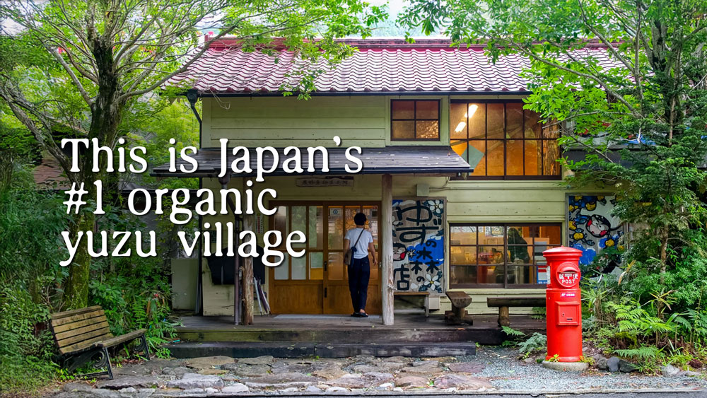 All You Need to Know About Akiya Abandoned Homes in Japan