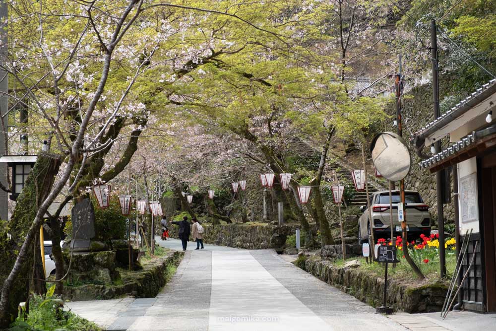 Sakawa Town: Sake Breweries & Best Sakura Blossoms Viewing